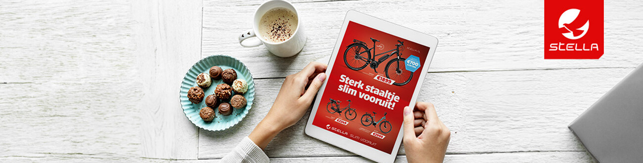 Remmen en remsystemen op een elektrische fiets - Stella