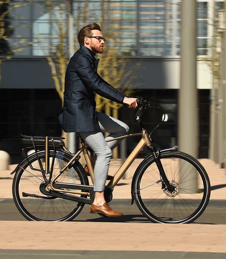 Fietsplan 2023: E-bike kopen met het fietsplan - Stella